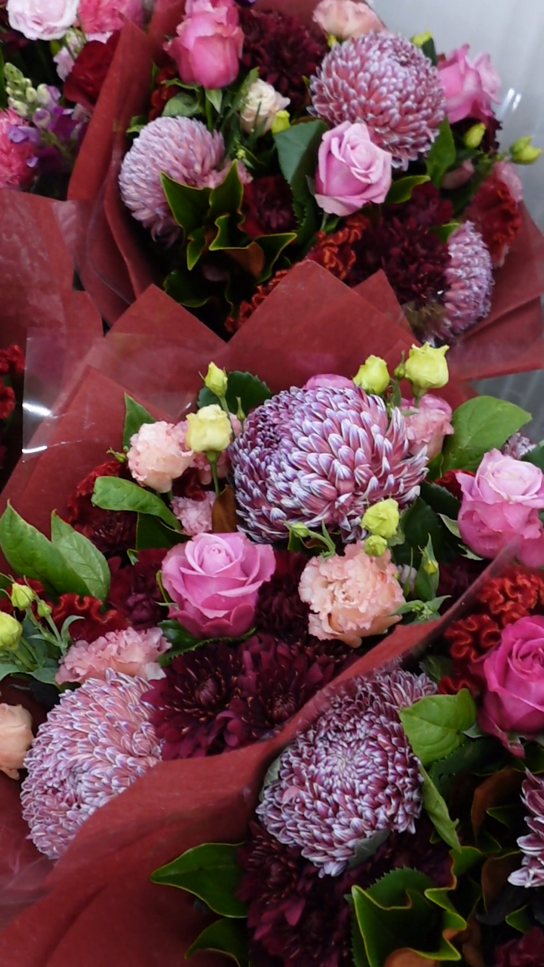 Australia Day Food & Platters - Ready Made Meals & Desserts